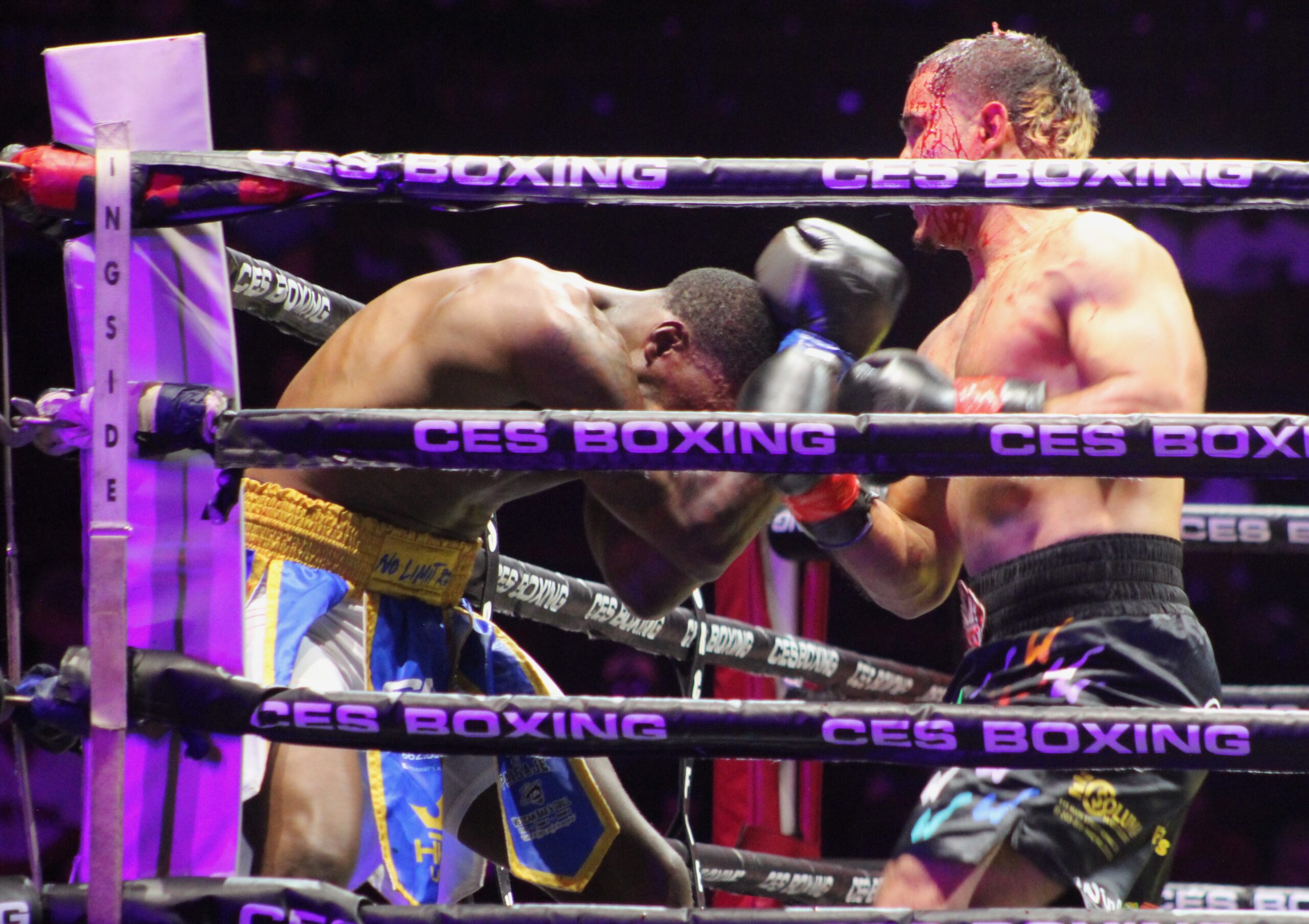 THE USA BOXING NEWS – THE PUBLICATION THAT PACKS A PUNCH!